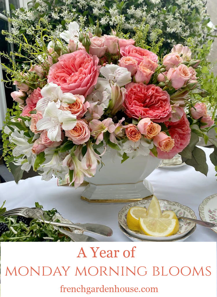 A Year of Monday Morning Blooms - frenchgardenhouse