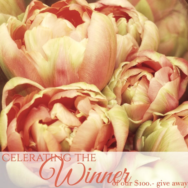 Celebrating the Winner of our February GIVEAWAY - frenchgardenhouse